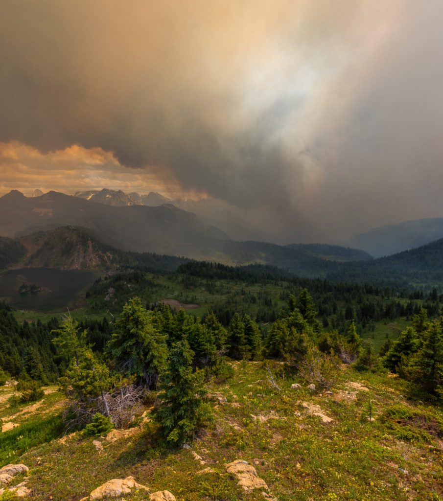 Calian CARES: Calian Makes $10,000 Donation to Canadian Red Cross ...